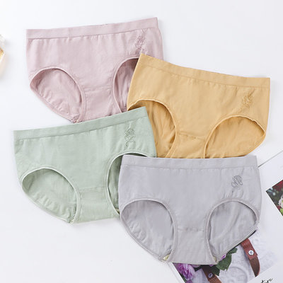 Women High Quality Nylon Briefs Young Girls Comfort Underwear Seamless Panties Free Size